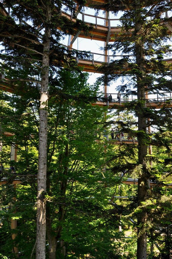 Tree top walk observatory stock image. Image of footpath - 25000791