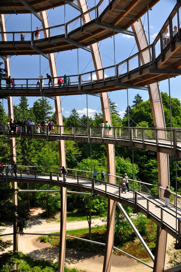 Tree top walk observatory editorial stock image. Image of track - 25000824