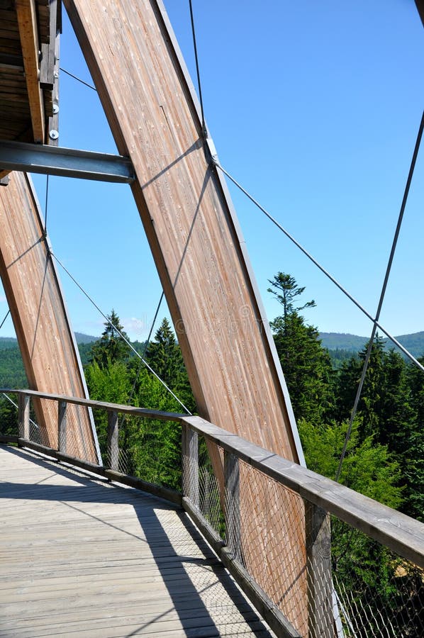 Tree top walk observatory stock image. Image of park - 25000837