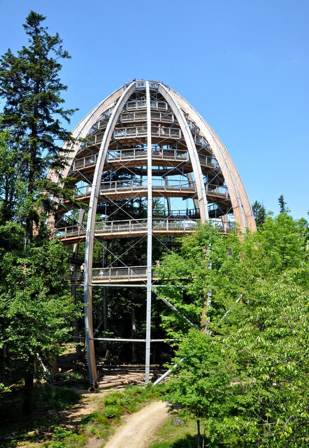 Tree top walk observatory stock photo. Image of romantic - 25000912