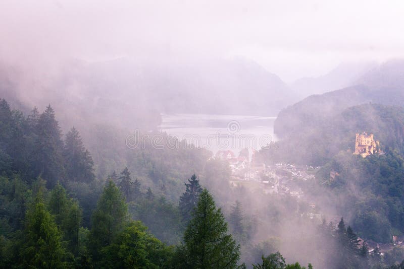Tree Tops of a Forest with Lots of Mist. Stock Photo - Image of beauty ...