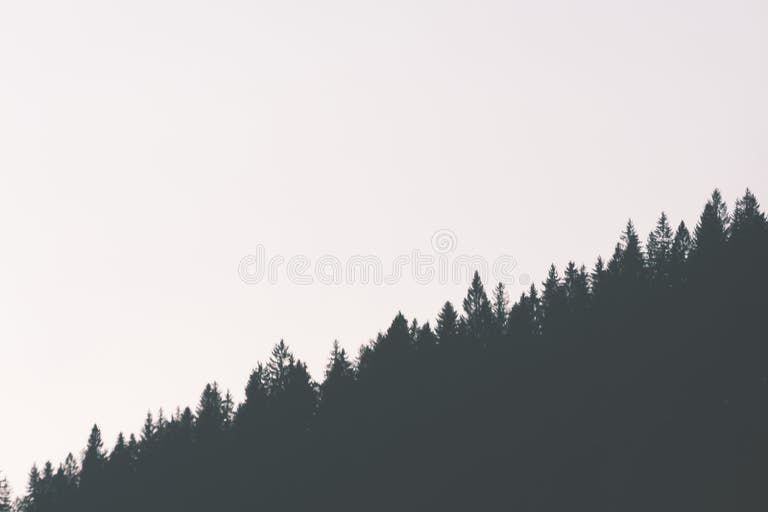 95,564 Tops Detai Stock Photos - Free & Royalty-Free Stock Photos from ...