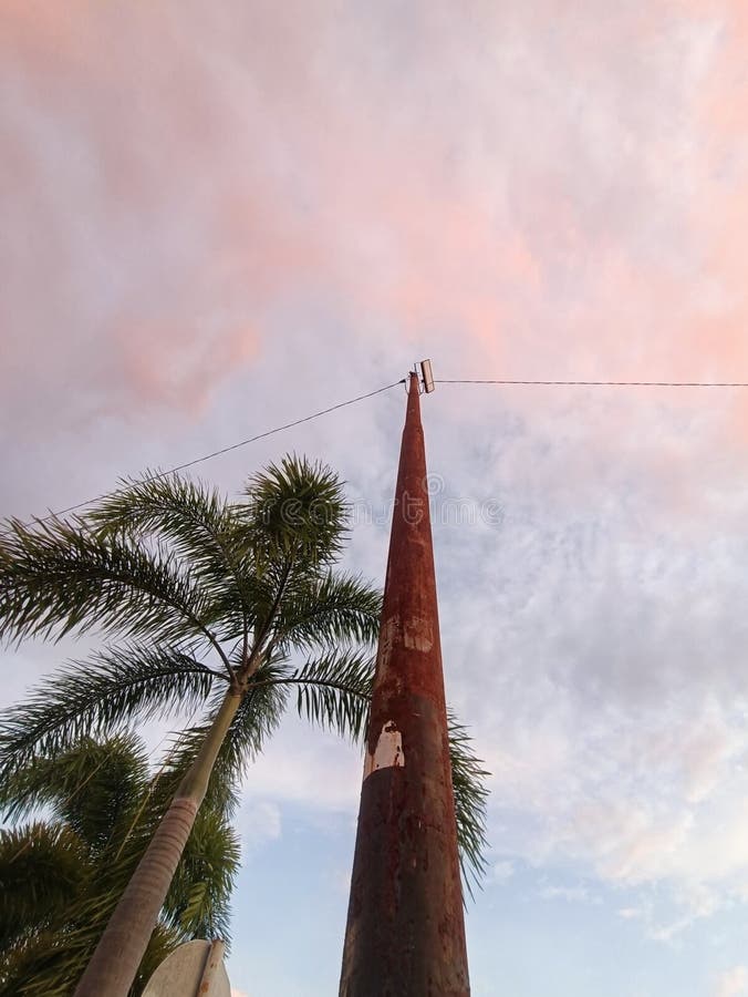 A Tree and a Towering Electric Pole Stock Photo - Image of beautiful ...