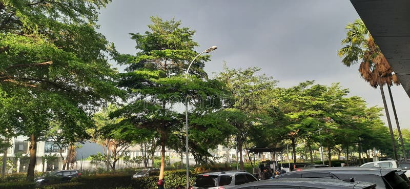 Tree Town Park stock photo. Image of garden, street - 262237458