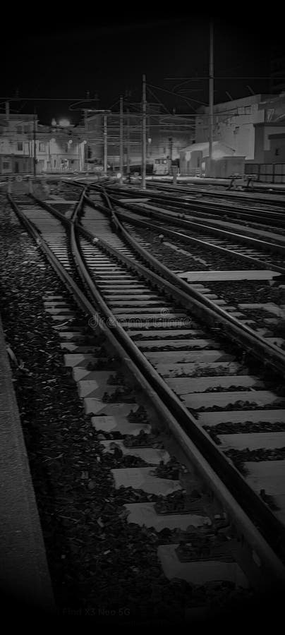 Tree into train station stock image. Image of station - 238339755