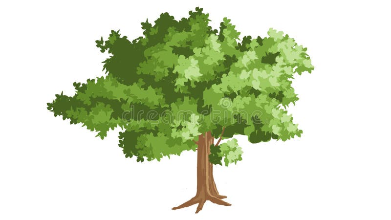 Tree Png Hand drawn stock image. Illustration of stripes - 250683177