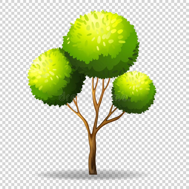 Tree Transparent Background Stock Illustrations – 25,046 Tree ...