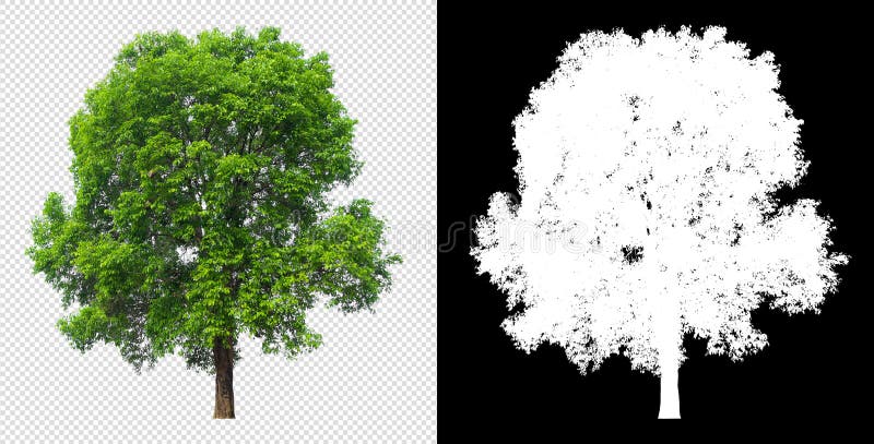 9,433 Tree Alpha Channel Stock Photos - Free & Royalty-Free Stock ...
