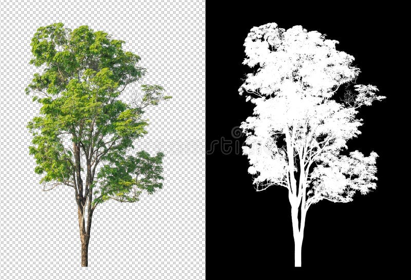 Alpha Transparent Trees Stock Illustrations – 314 Alpha Transparent ...