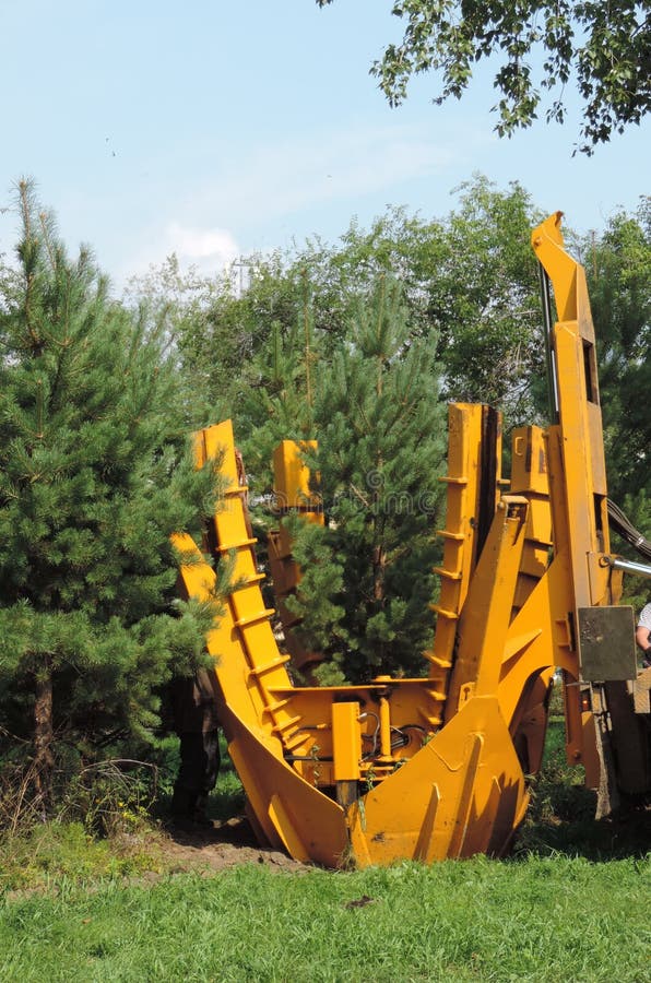 Tree Transplanter Heavy Machine. Machine for Transplanting Large Trees ...