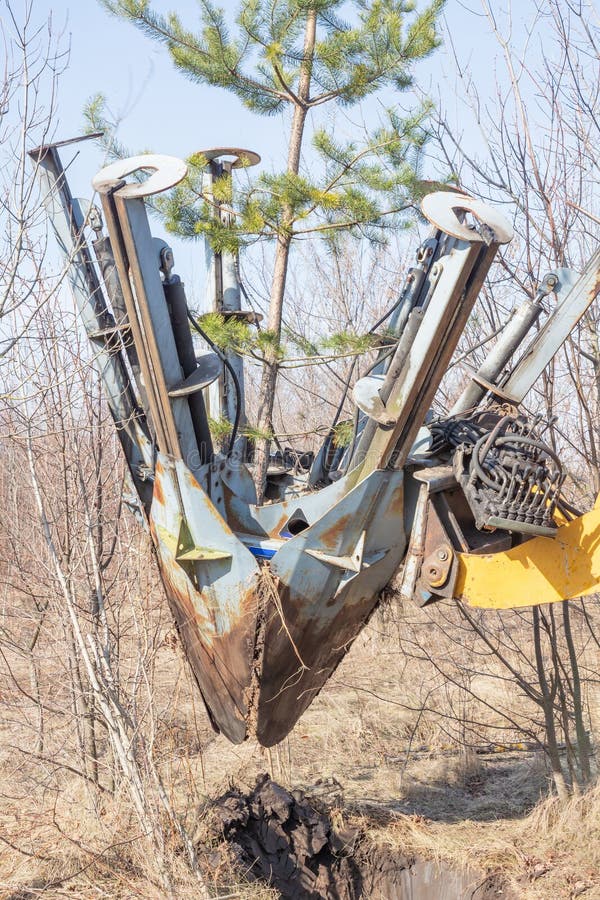 Transplanter Machine Loaded with Tomato Seedlings Trays on Racks Stock ...