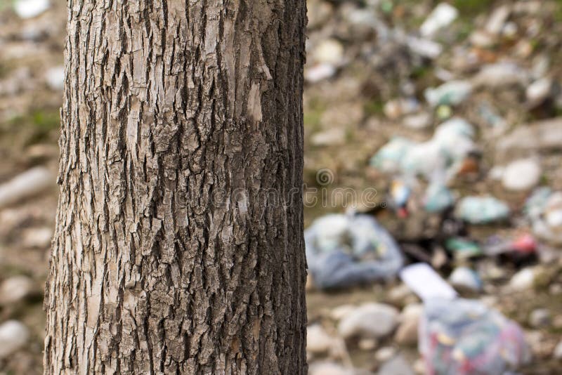 Tree in the trash stock image. Image of decompose, people - 103466639