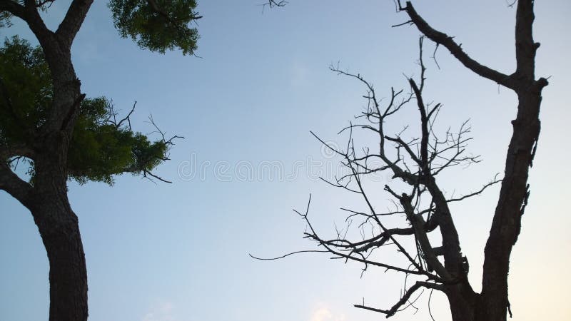 Habarana Stock Photos - Download 99 Royalty Free Photos