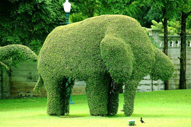 The Tree is Trimmed into Elephants. Stock Photo - Image of decoration ...