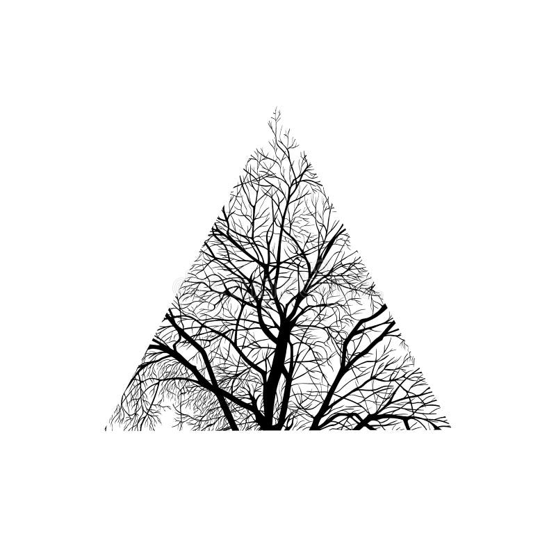 Tree trimmed in a triangle stock vector. Illustration of drawn - 71494011