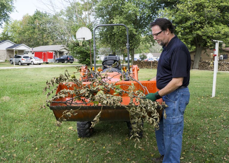 Tree Trimmer Loading Limbs into Front End Loader Stock Image - Image of ...