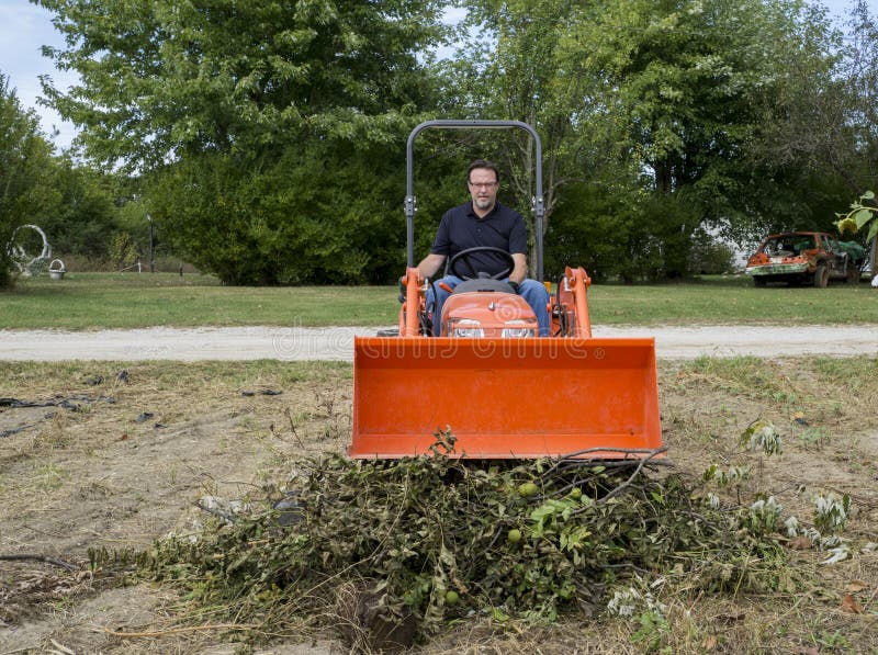 Tree Trimmer Stomping Down Tree Limb Pile Stock Image - Image of bucket ...