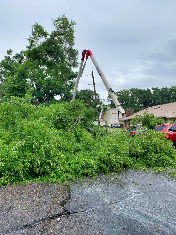 Tree Trimmers and Fallen Tree Stock Image - Image of aftermath ...