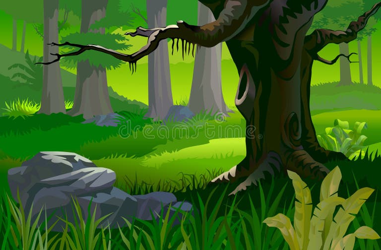 Tree in a tropical forest stock vector. Illustration of idyllic - 20604998