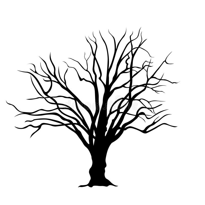 Leafless Tree Isolated Editable Stock Vector - Illustration of weblike ...