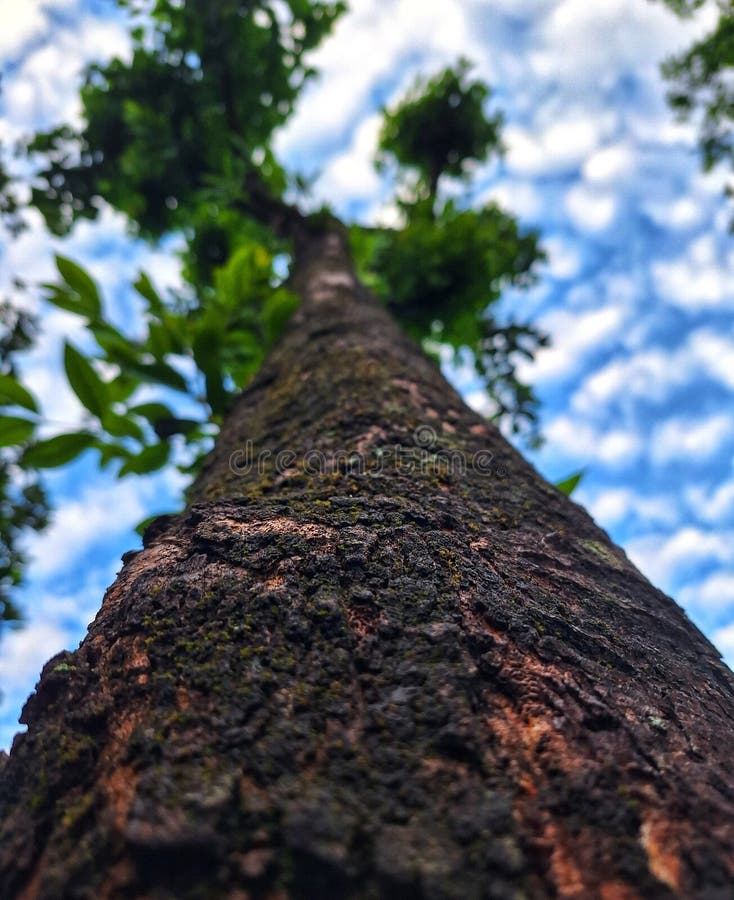 319 Biru Dongker Background Stock Photos - Free & Royalty-Free Stock ...