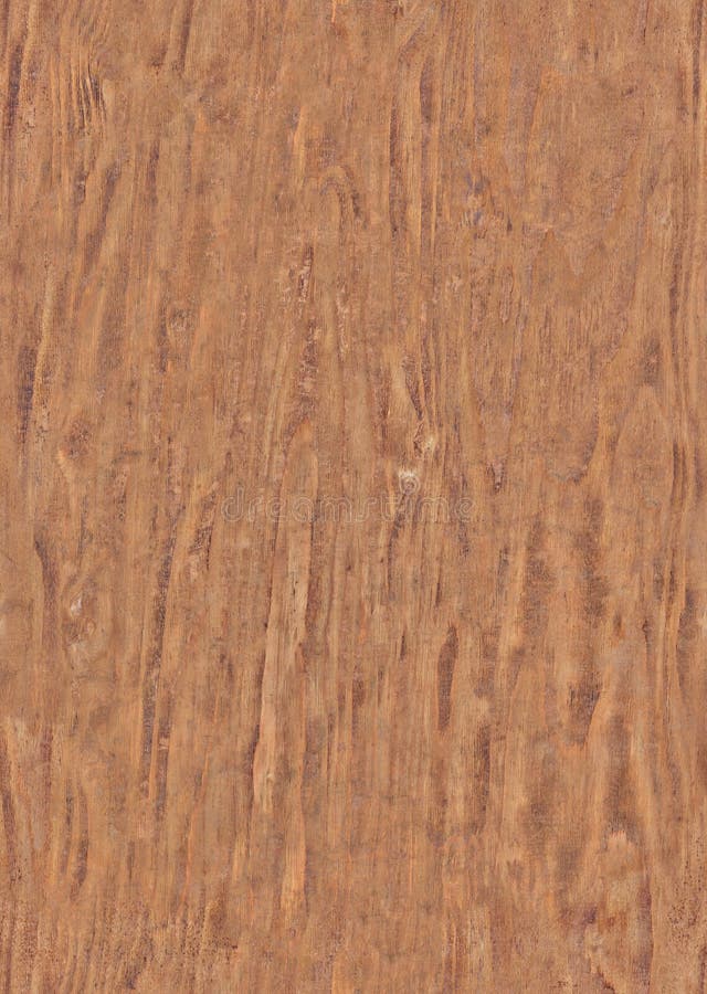 Wood Bark of a Tree with a Natural Pattern of Gray Color Stock Image ...