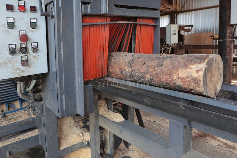 The Tree Trunk is Being Sawed. the Sawmill. the Process of Processing ...