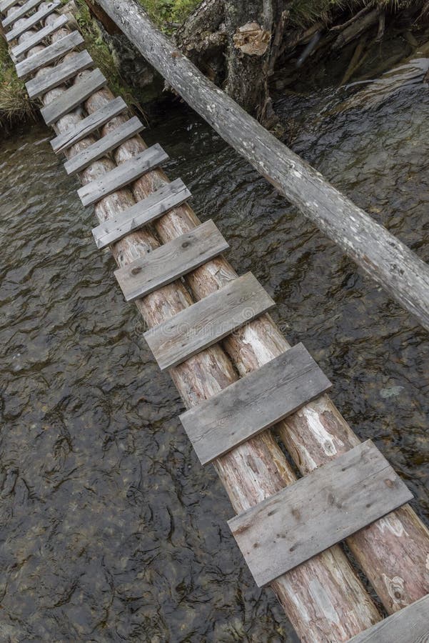 Tree Trunk Bridge Over a Creek Stock Photo - Image of adventure, land ...