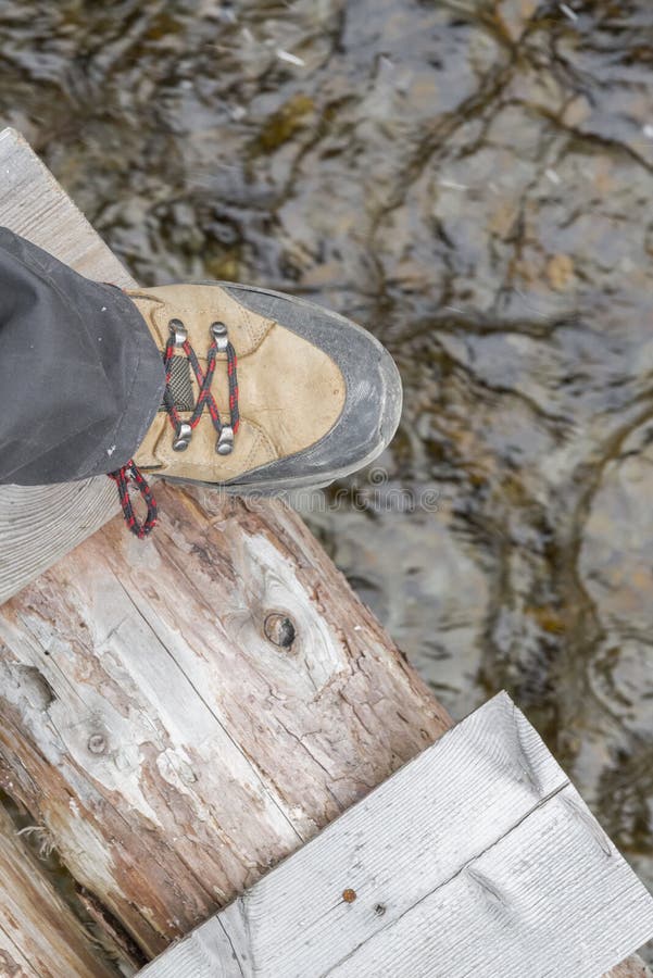 Tree Trunk Bridge Over a Creek Stock Image - Image of austria ...