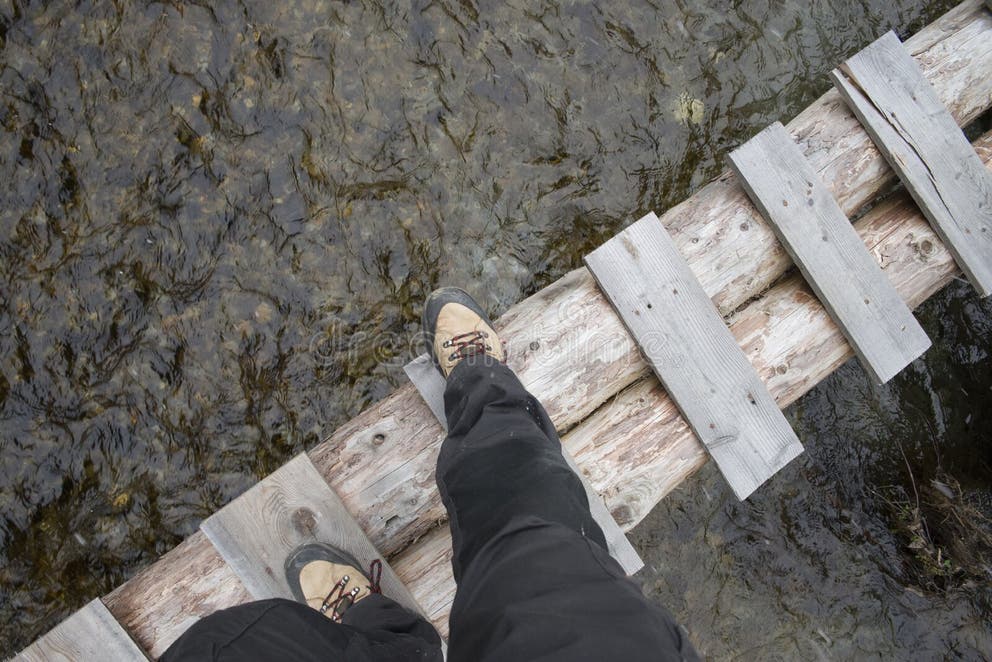 Tree Trunk Bridge Over a Creek Stock Photo - Image of nature, austria ...
