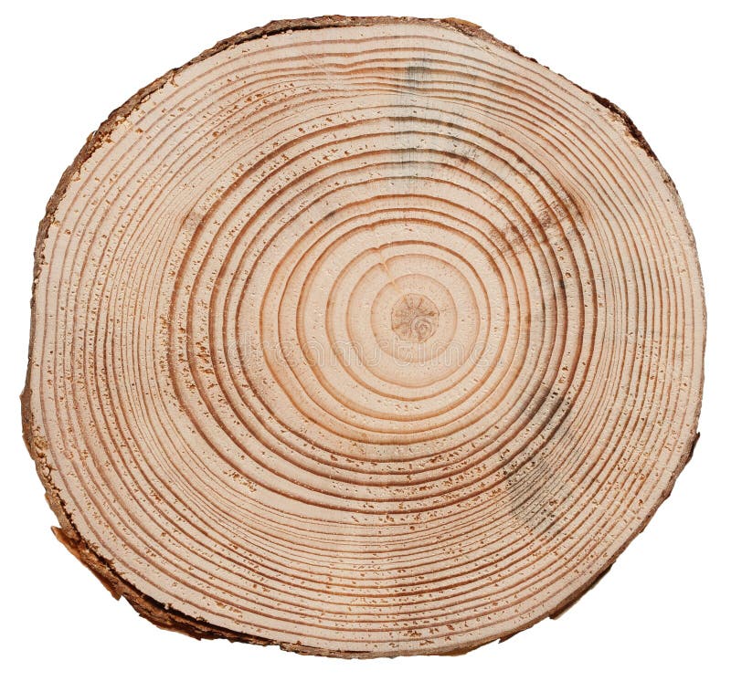1,100+ Cut wood texture Free Stock Photos - StockFreeImages