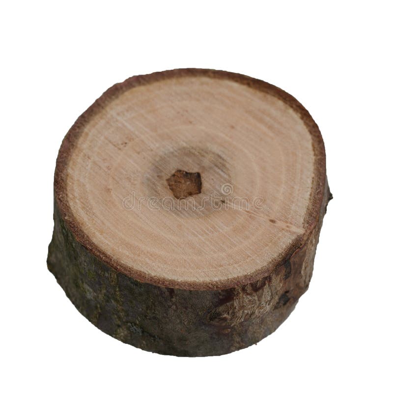 Tree Trunk Cross Cut Wood Texture Stock Image - Image of structure ...