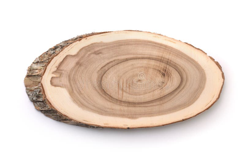 Tree trunk cross section stock image. Image of organic - 175628753 Tree trunk cross section stock image. Image of organic - 175628753