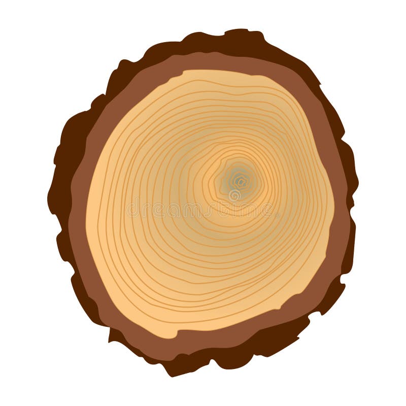 Tree Trunk Cross Section, Isolated on White Stock Vector - Illustration ...