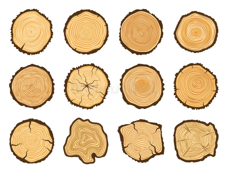 Tree Trunk Cross Section. Round Pine Logs, Forest Wood Circle and Tree ...