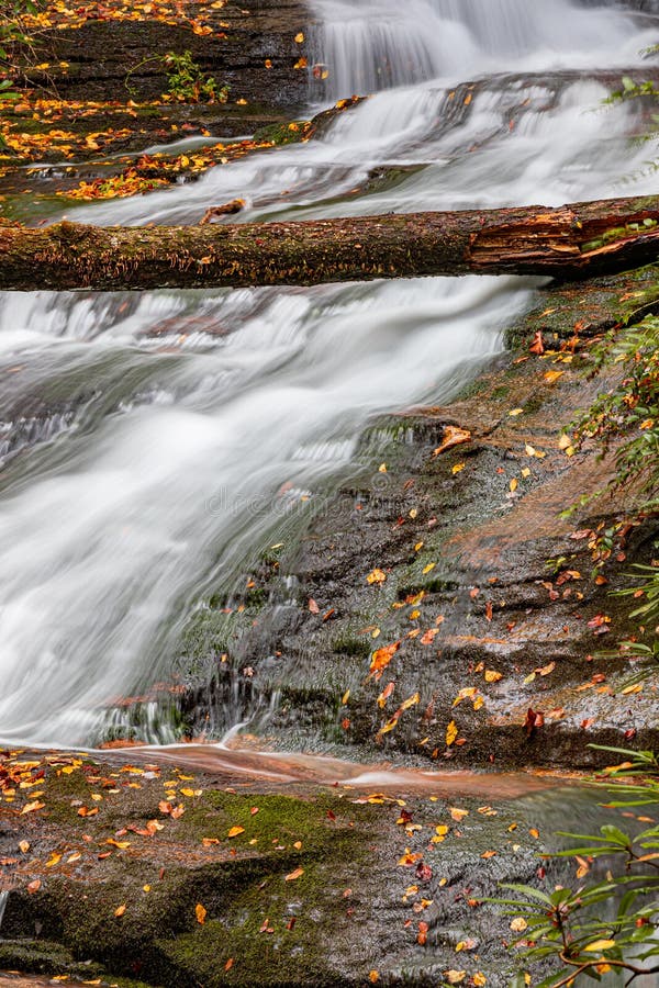 Tree Trunk Crosses the Waterfall in Autumn Stock Image - Image of ...