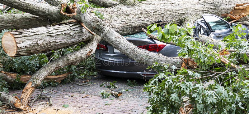 Tree Trunk Crushes Car in Driveway Stock Photo - Image of falling, home ...