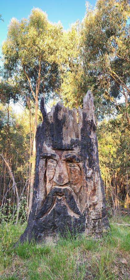 Art of a Face Made on the Trunk of a Burned Tree in the Middle of the ...