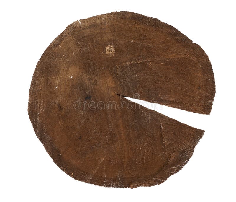 Tree Trunk Cut Isolated On A White Background Stock Photo - Image of ...