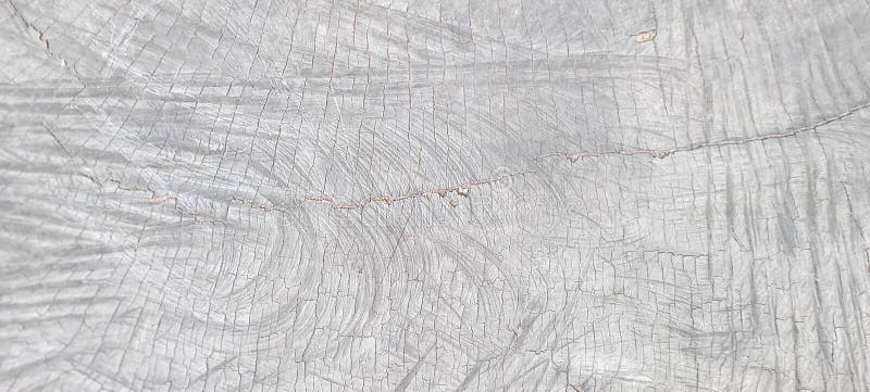 Tree Trunk with Dark Texture and Abstract Lines Stock Photo - Image of ...