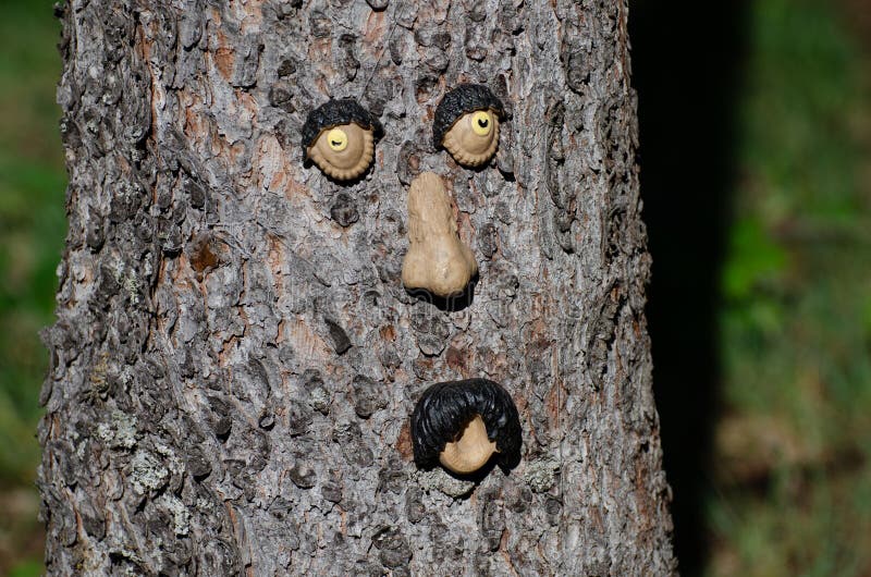 Decorative Face on Tree in Yard Stock Image - Image of textures ...