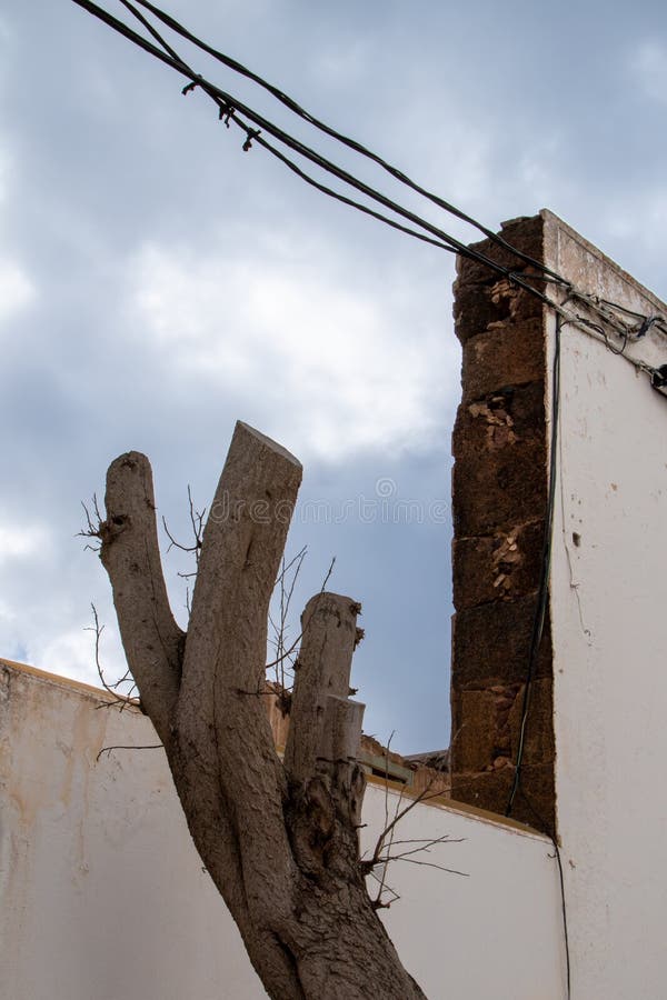 Tree Trunk and a Demolished House, Haria, Spain Stock Image - Image of ...