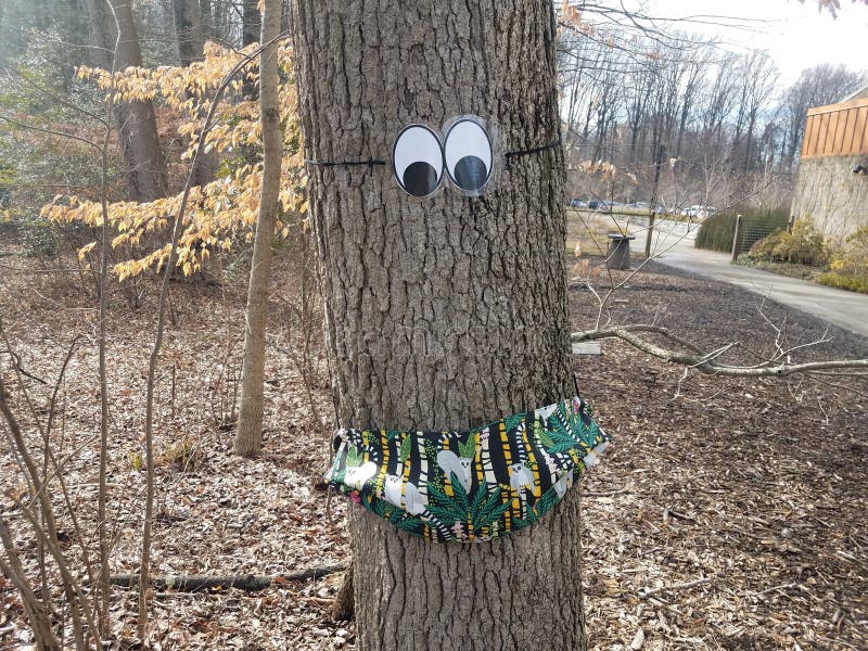 Tree Trunk with Eyes and Face Mask in Forest Stock Image - Image of ...