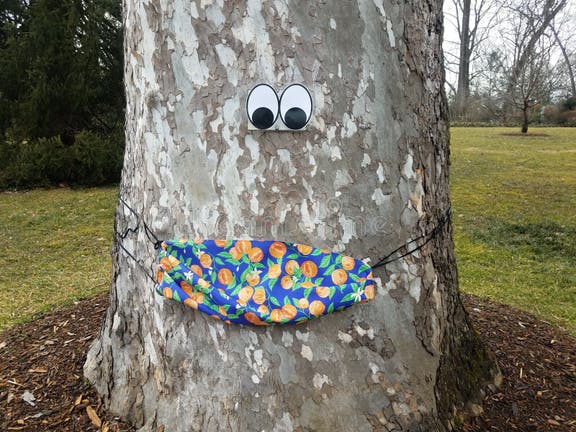 Tree Trunk with Eyes and Face Mask in Forest Stock Photo - Image of ...