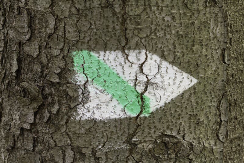 A Tree Trunk with a Green Arrow Painted on it Stock Image - Image of ...