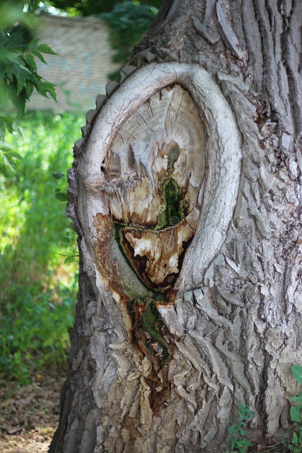 Quality Life Scaled Stock Photos - Free & Royalty-Free Stock Photos ...