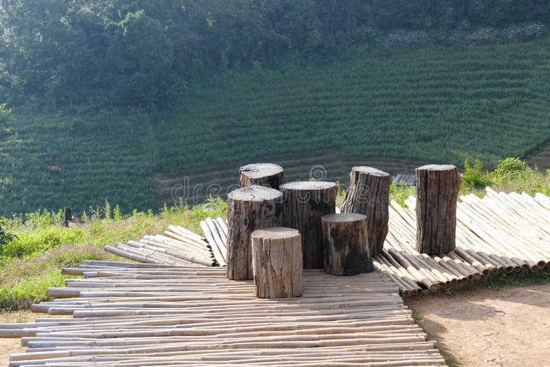 Tree Trunk Log Seat on the Patio Stock Image - Image of bench, wooden ...