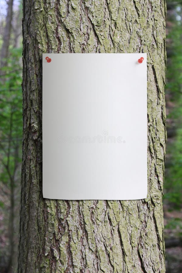 Tree Trunk With Paper Poster Pinned To It Stock Image - Image of life ...