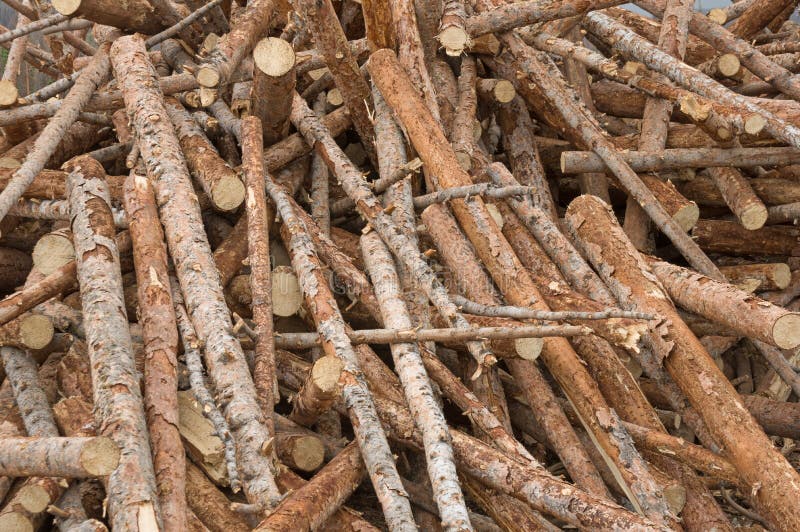 Tree Trunk Pile stock image. Image of logged, logs, jumbled - 85230163