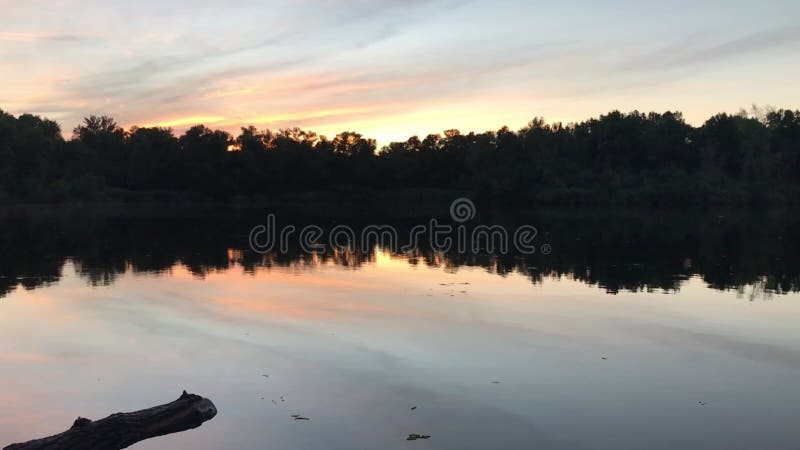 Tree Trunk in the River on Sunset Stock Footage - Video of clouds ...